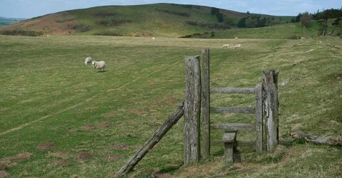 日本語と一致! 英語「Uncalled for」の意味が「お呼びでない」